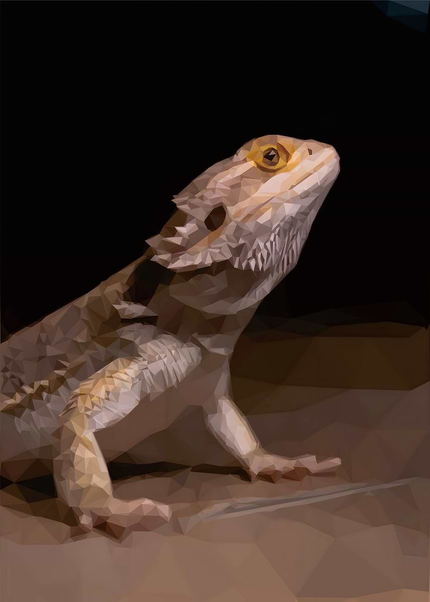 'Low Poly Lizard' Poster, picture, metal print, paint by YUDA | Displate