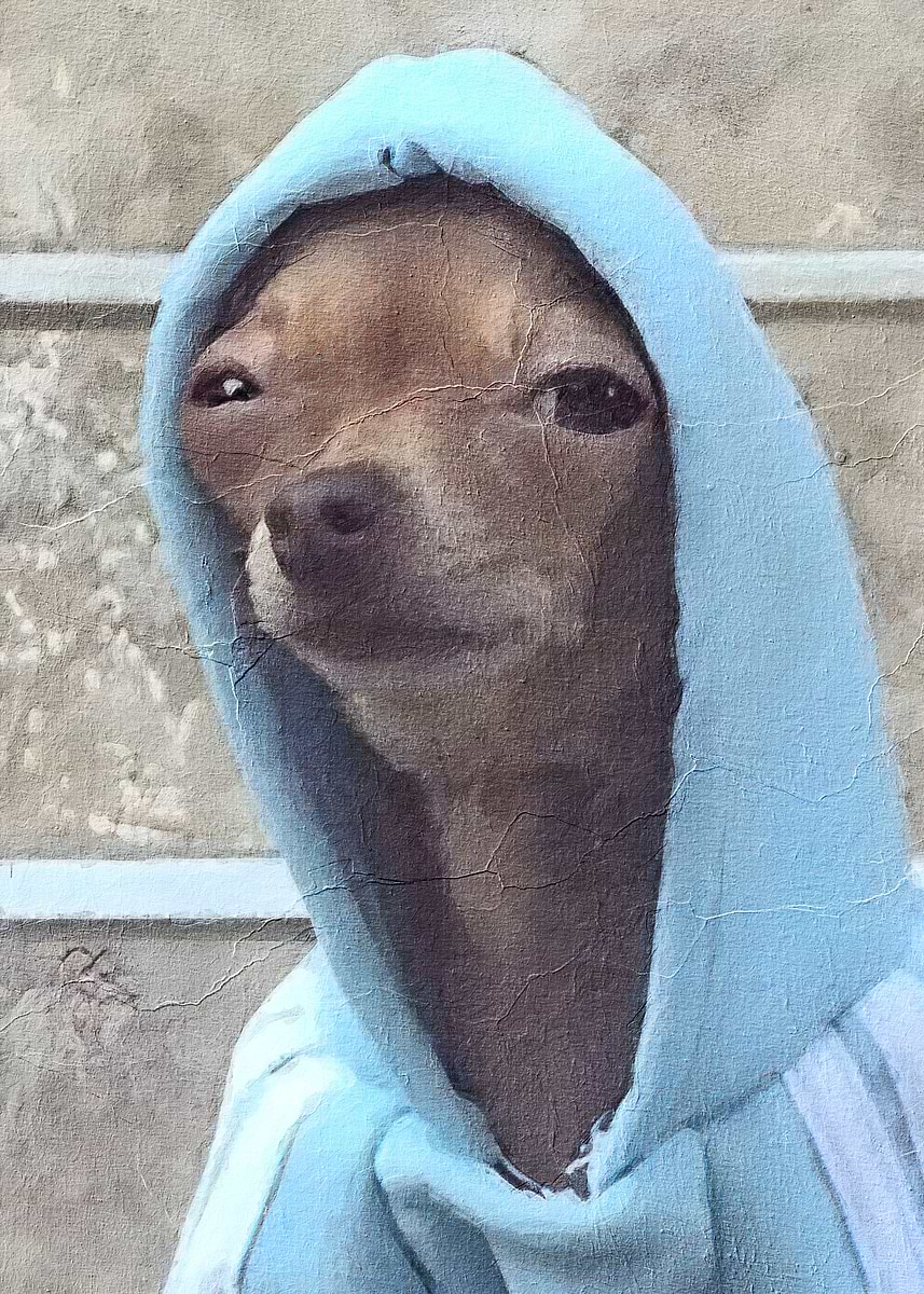 'Dog meme' Poster, picture, metal print, paint by Meme Daily | Displate