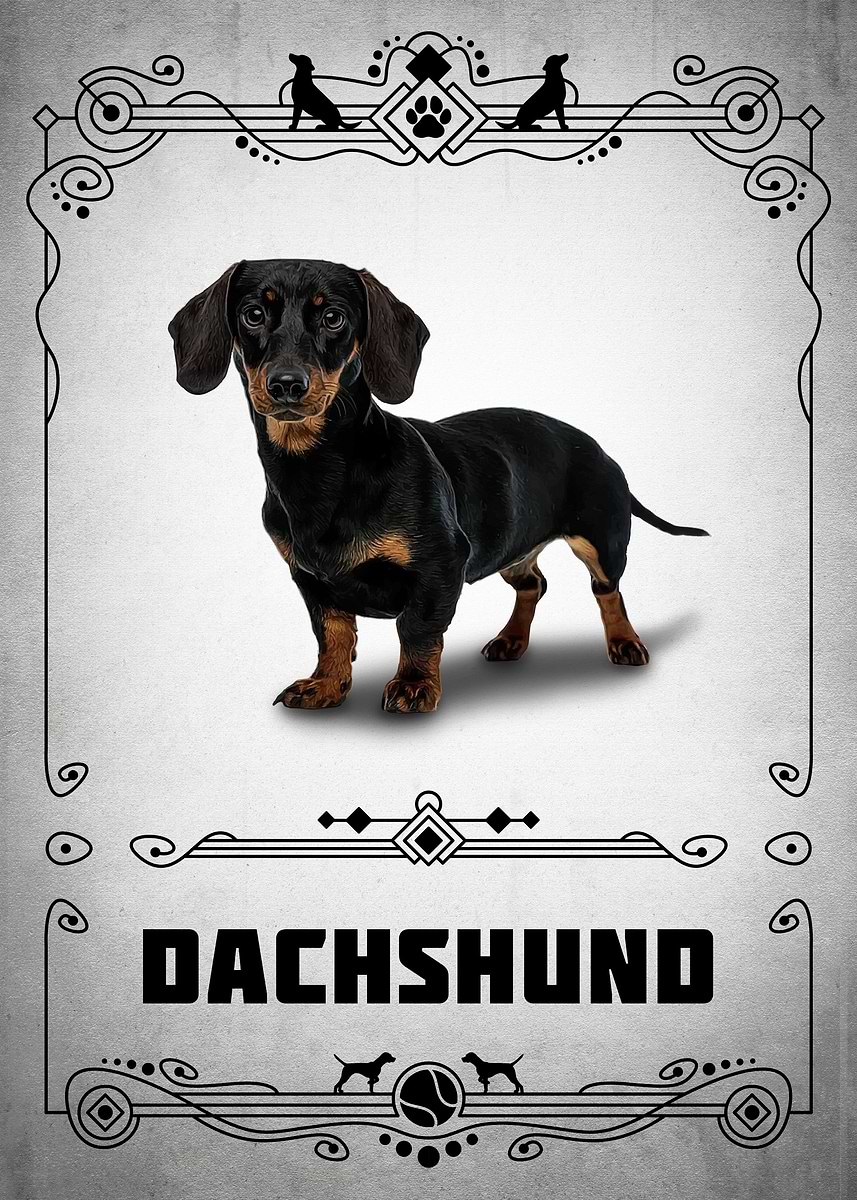 'Dachshund' Poster, picture, metal print, paint by Bo Kev | Displate