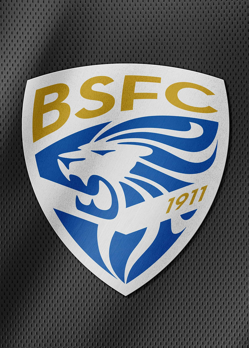 'Brescia Calcio Football' Poster, picture, metal print, paint by Tracy ...