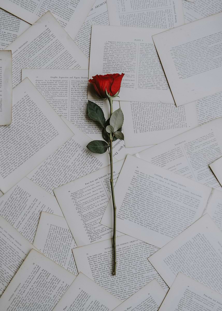 'Red Roses paper Aesthetic' Poster, picture, metal print, paint by gani ...