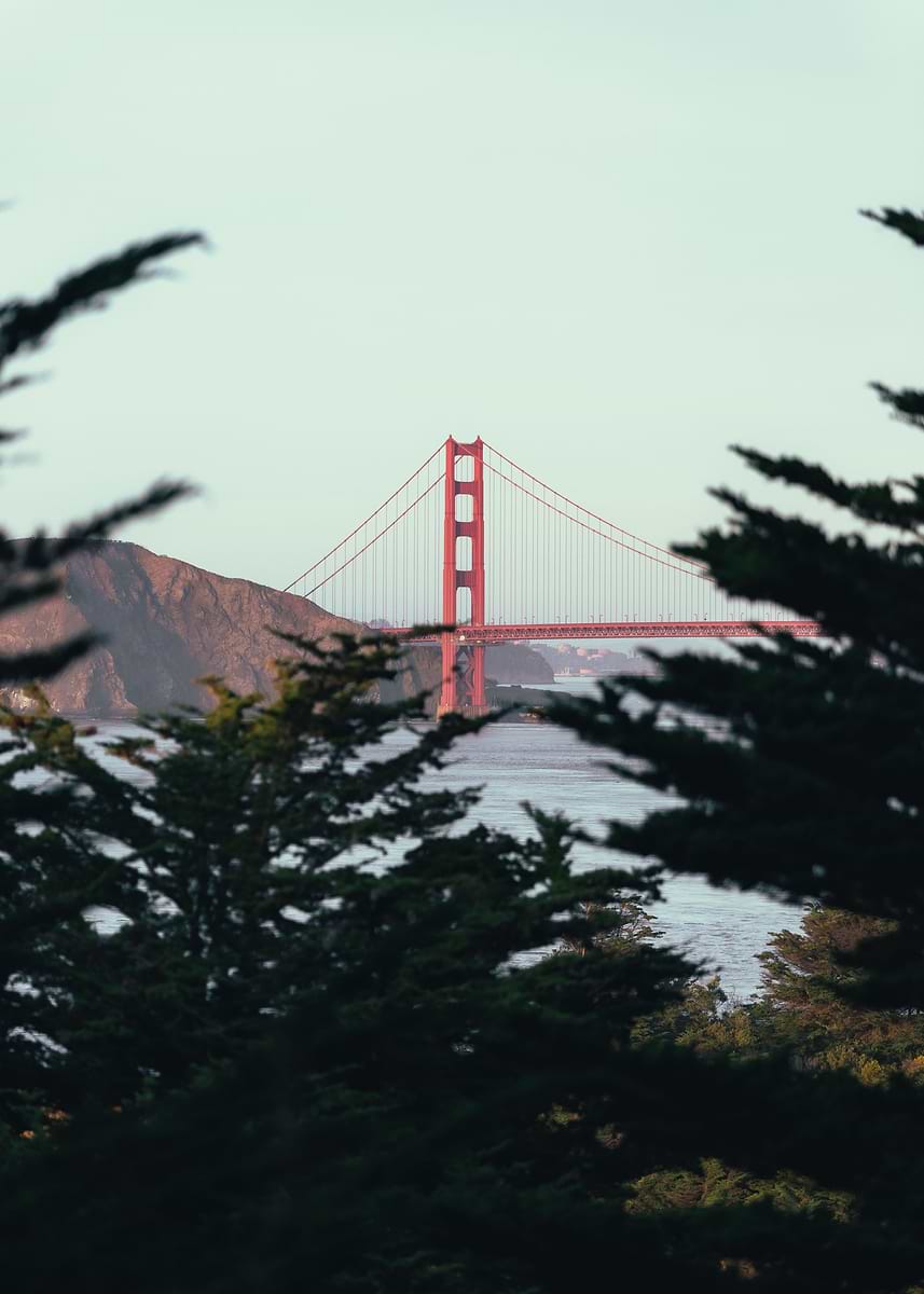 'Golden Gate and trees' Poster, picture, metal print, paint by Yann ...