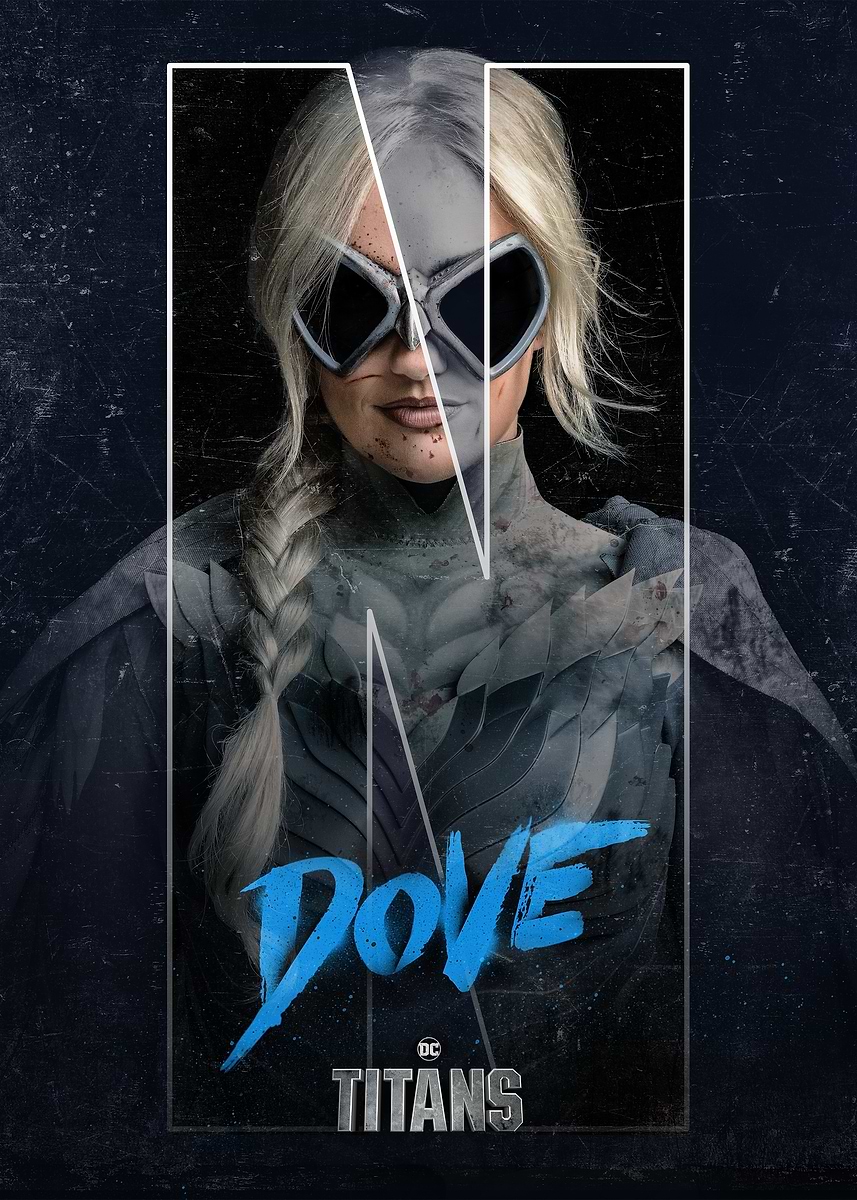 'Dove' Poster, picture, metal print, paint by DC Comics | Displate
