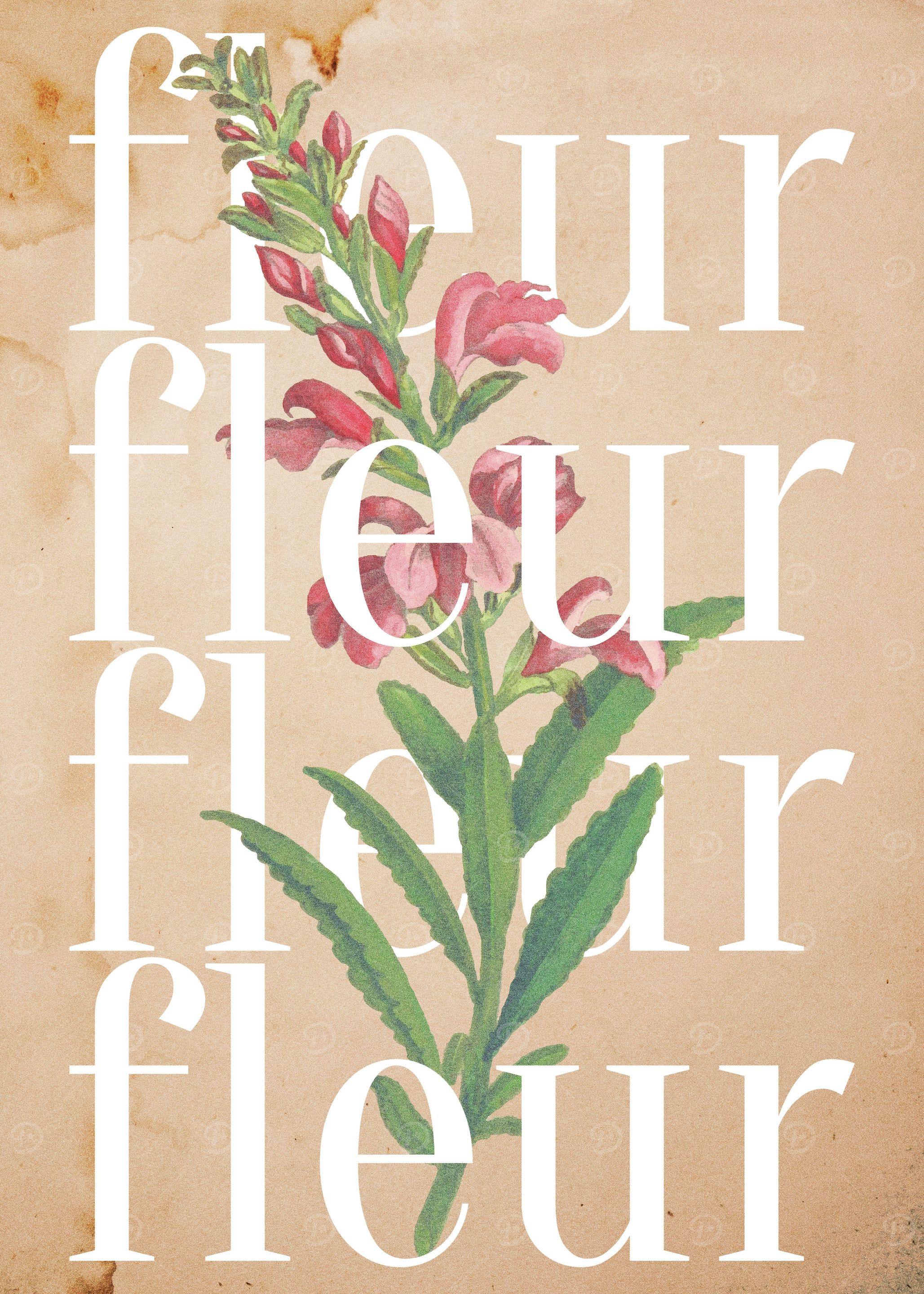 'Fleur' Poster, picture, metal print, paint by Vultus Poster | Displate
