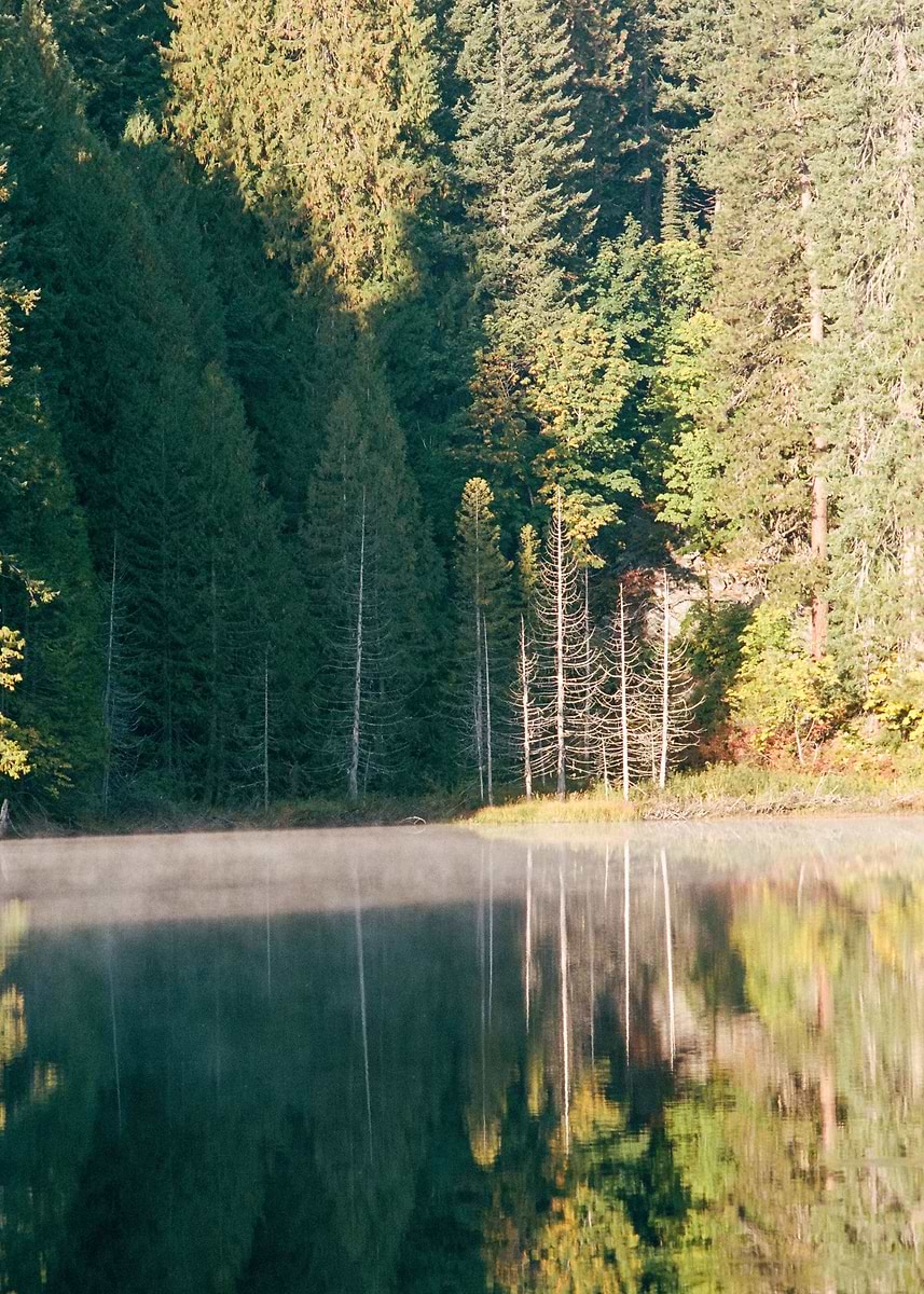 'Alpine Lake Reflection PNW' Poster, picture, metal print, paint by ...