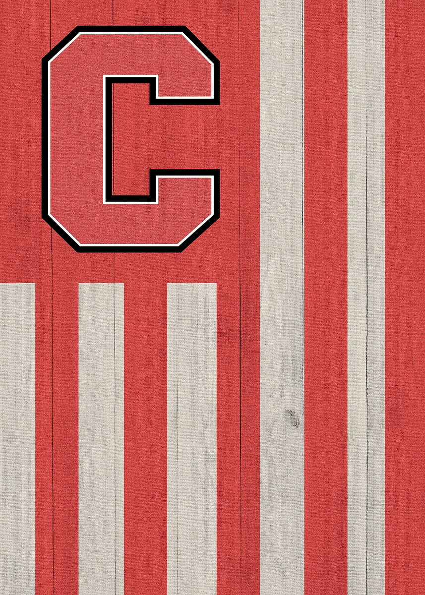 'Cornell Big Red Flag' Poster, picture, metal print, paint by Jamie ...