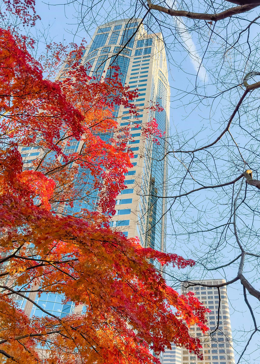 'City in Autumn' Poster, picture, metal print, paint by Jonathan Nguyen ...