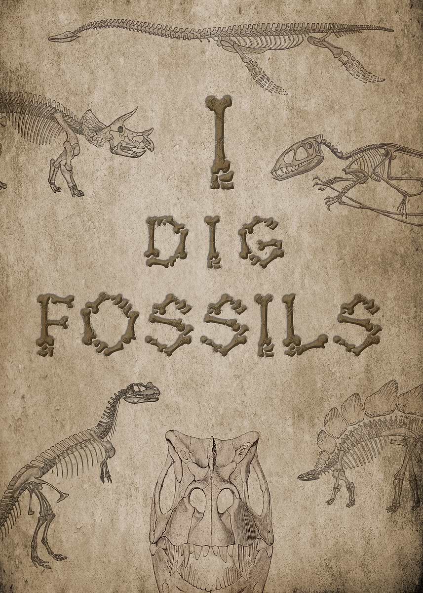 'I dig fossils Dinosaur' Poster, picture, metal print, paint by ...