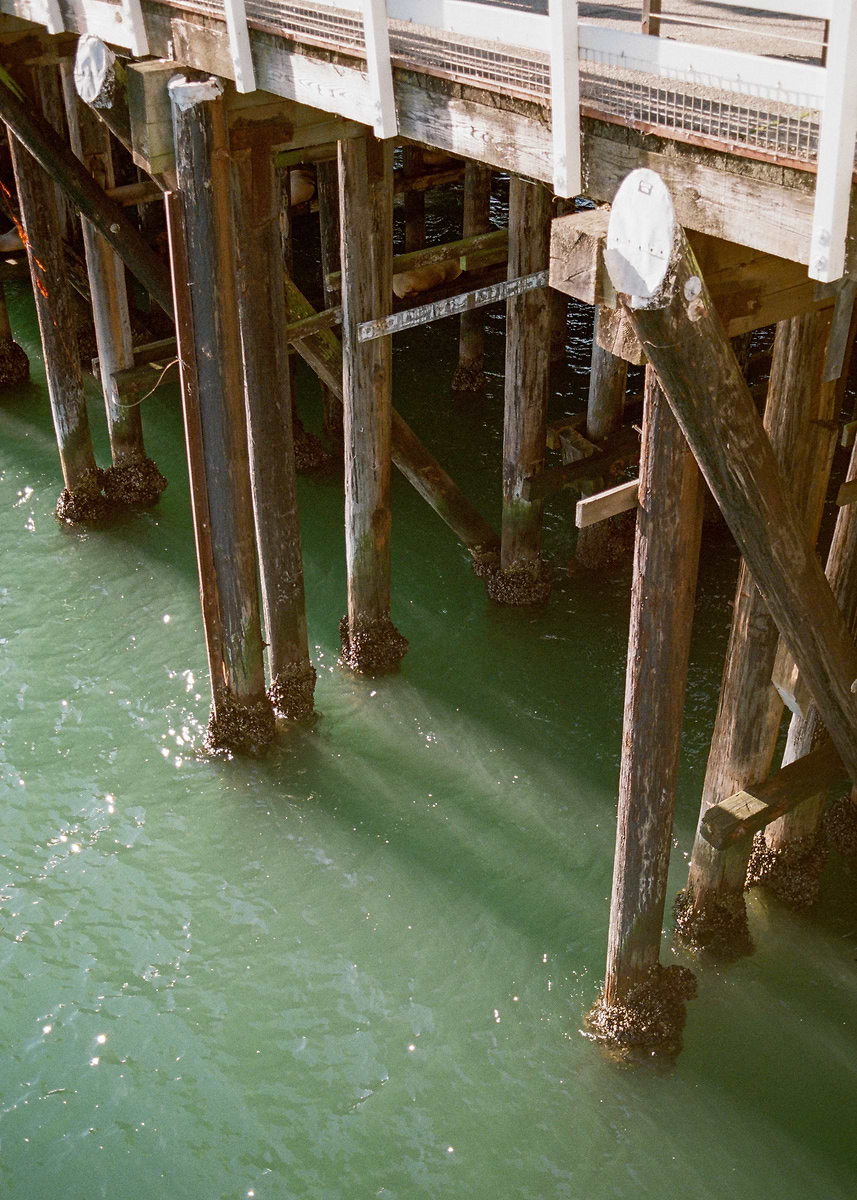 'Santa Cruz California Pier' Poster, picture, metal print, paint by ...