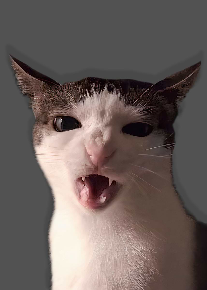 'Crunching cat meme' Poster, picture, metal print, paint by Natalie ...