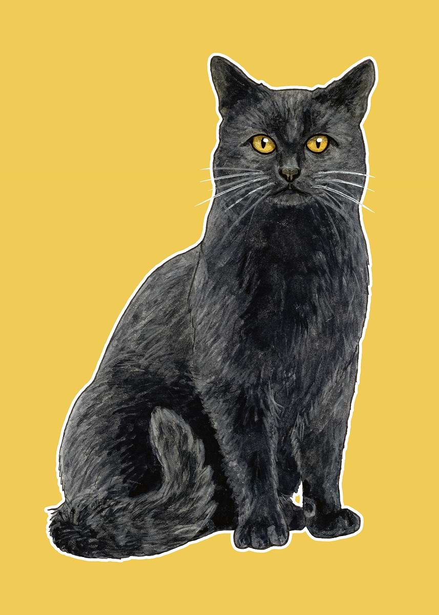'Black cat with golden eyes' Poster, picture, metal print, paint by ...