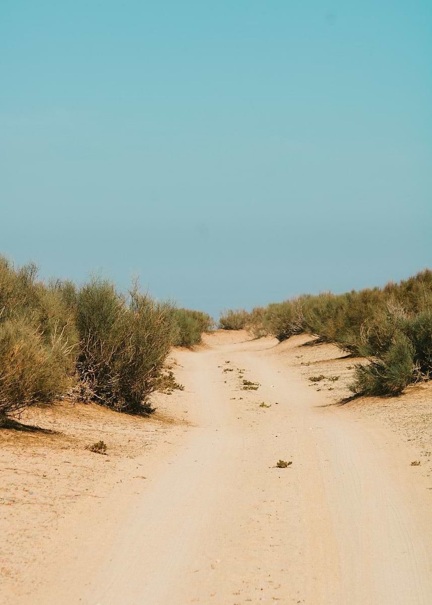 'Desert Pathway' Poster, picture, metal print, paint by Hendrik Zahn ...