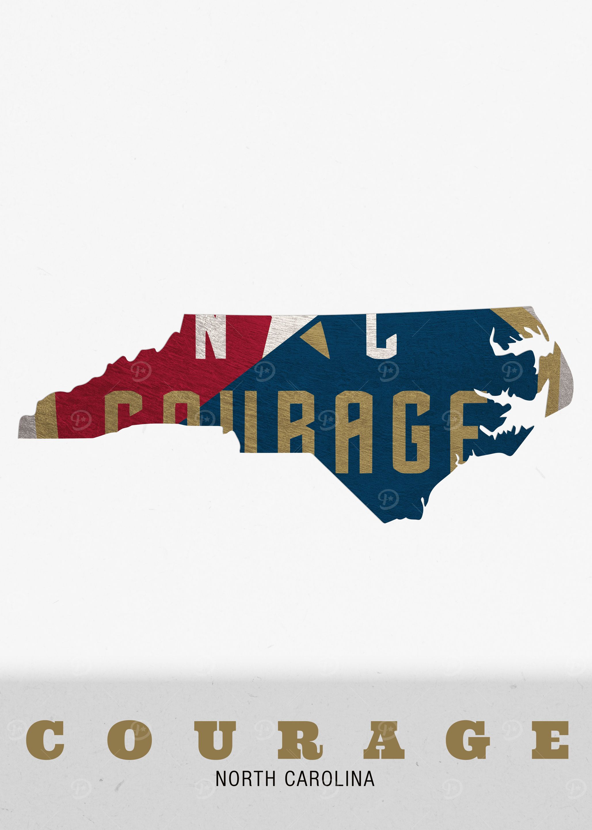 'North Carolina Courage' Poster, picture, metal print, paint by Garcia ...
