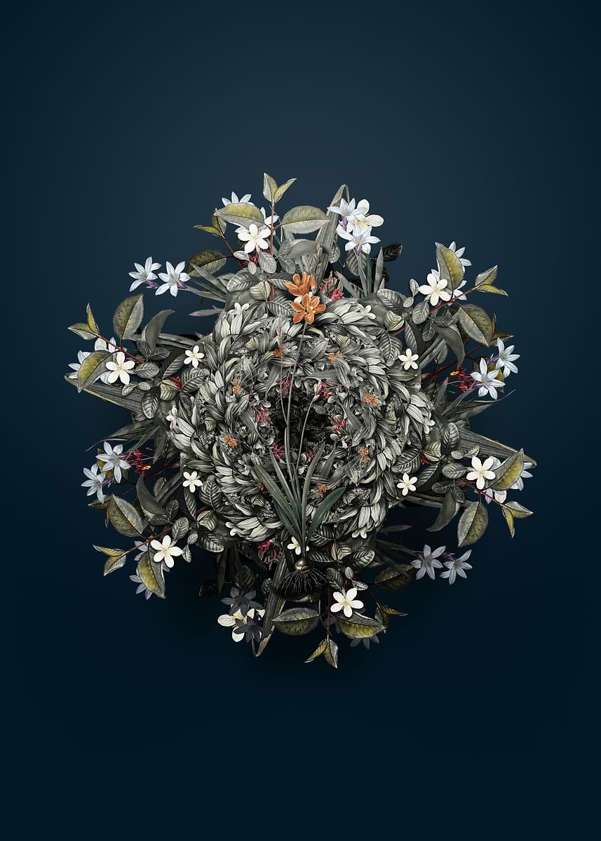 'Mossel Bay Tritonia Wreath' Poster, picture, metal print, paint by ...