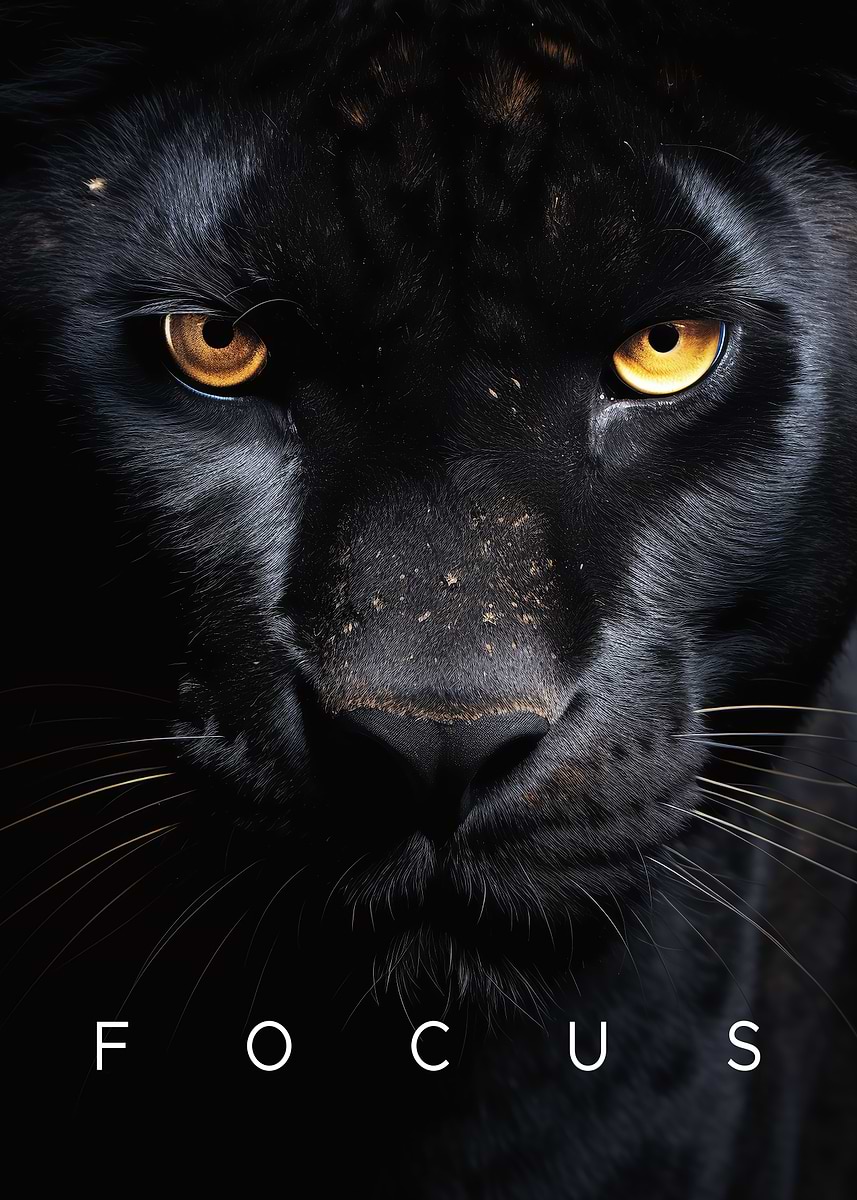 'FOCUS' Poster, picture, metal print, paint by Conceptual Photography ...