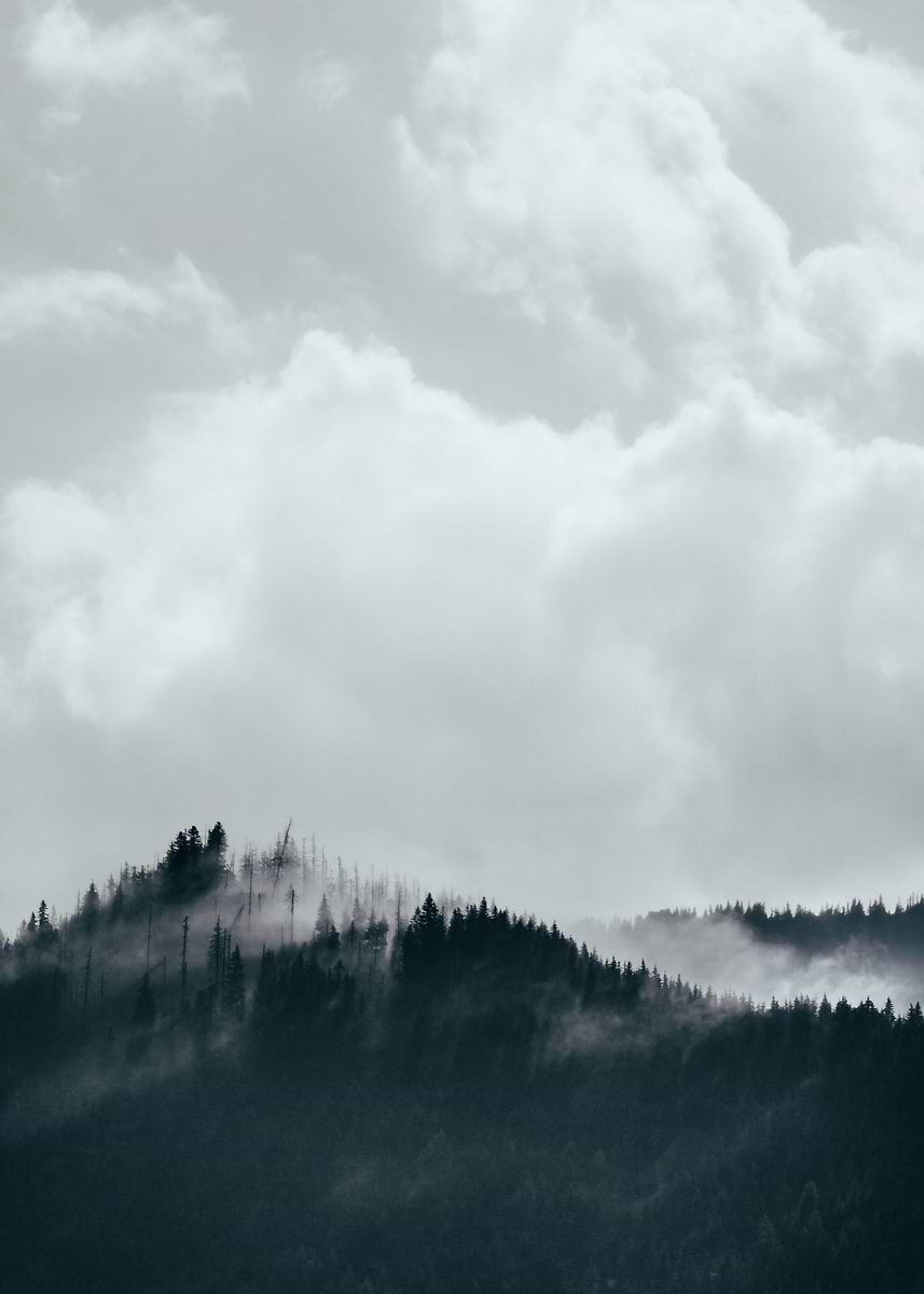 'Hill in fog' Poster, picture, metal print, paint by Adam Stolarczyk ...