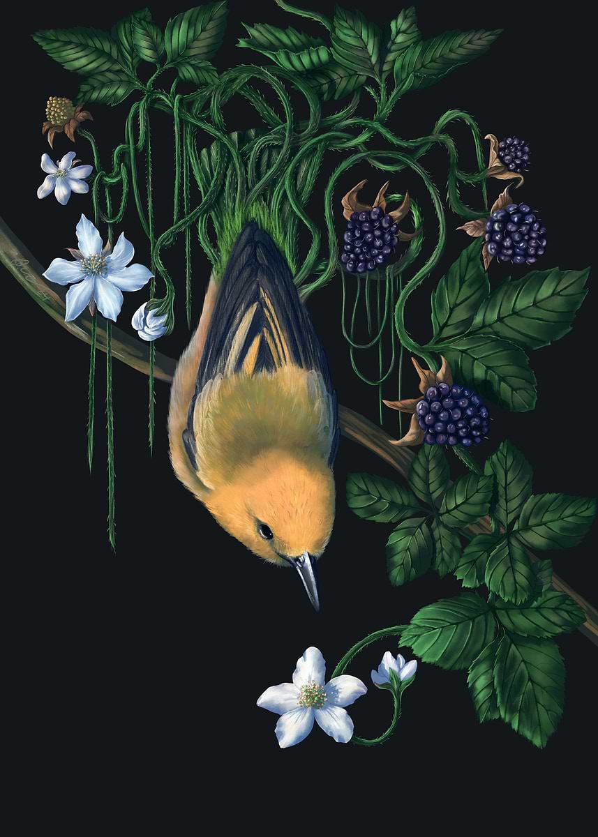 'Yellow Bird' Poster, picture, metal print, paint by Denise Wolfram ...