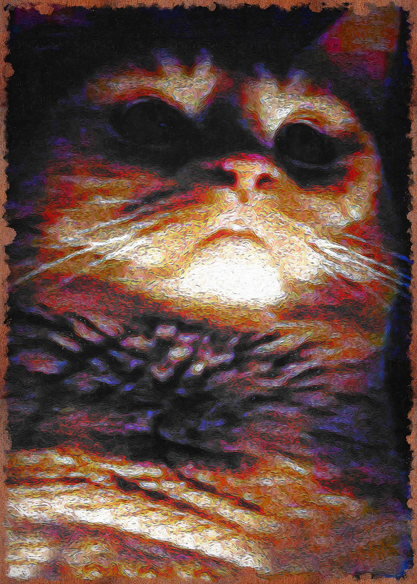 'pathetic cat meme' Poster, picture, metal print, paint by Limited ...