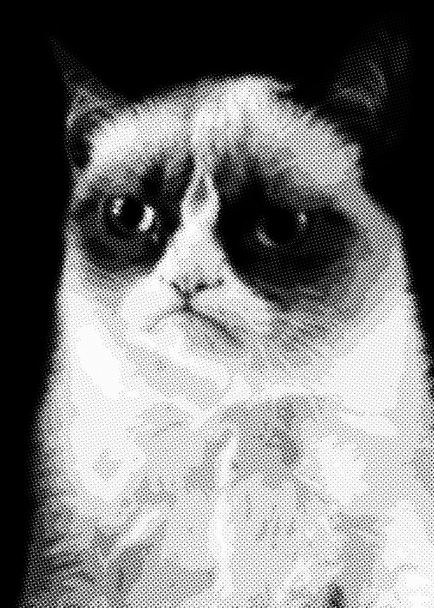 'Grumpy cat' Poster, picture, metal print, paint by ipart id | Displate