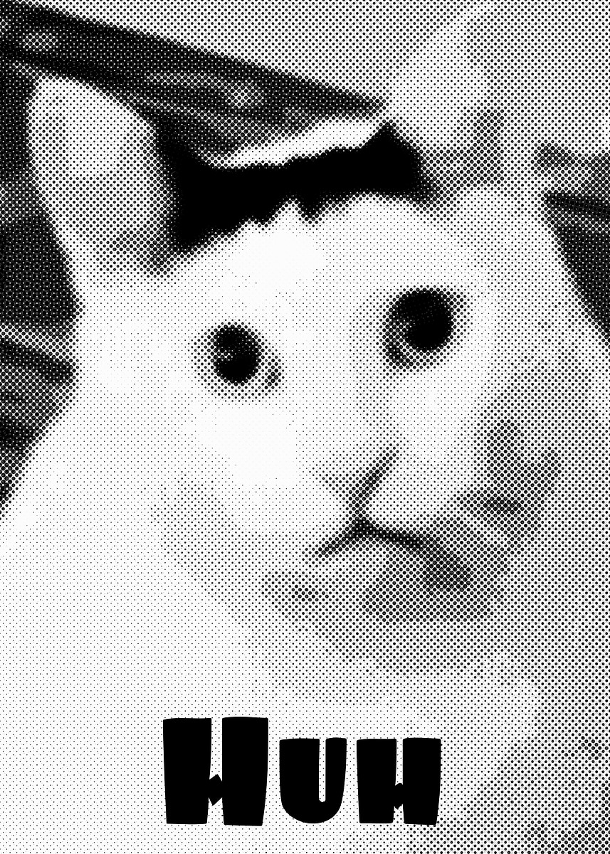 'Huh cat' Poster, picture, metal print, paint by ipart id | Displate