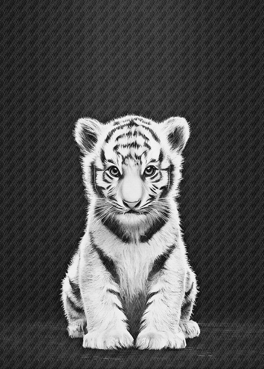 'Cub' Poster, picture, metal print, paint by ipart id | Displate
