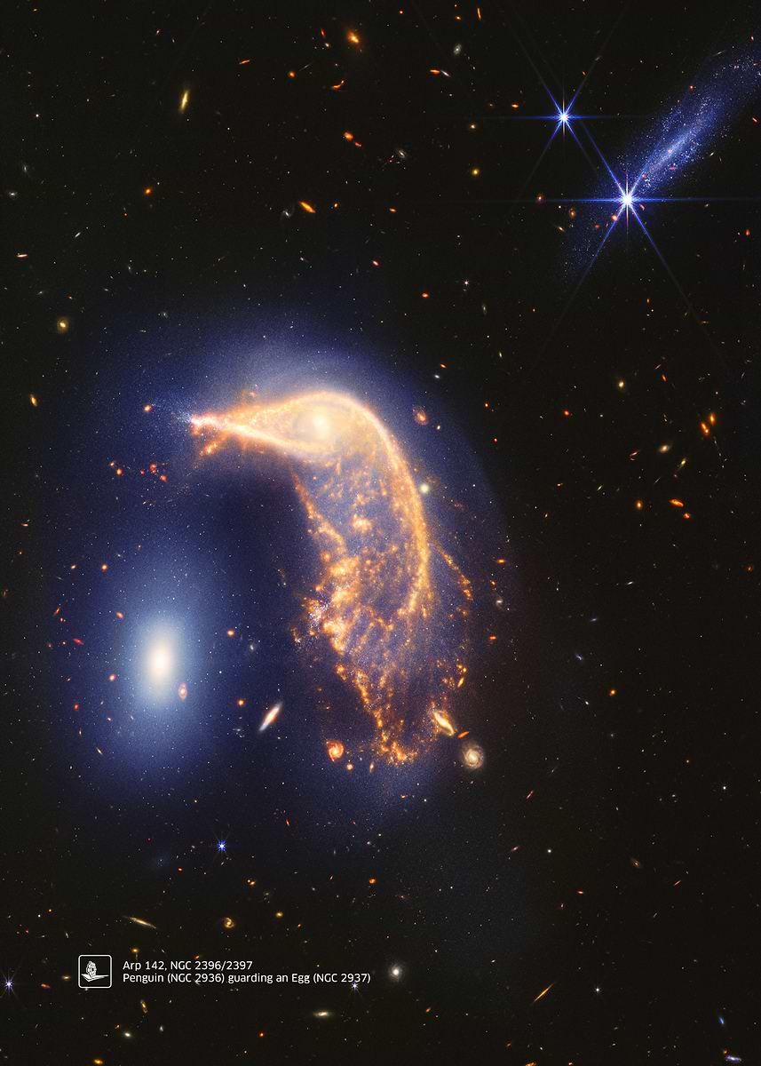 'Penguin guarding an Egg' Poster, picture, metal print, paint by ...