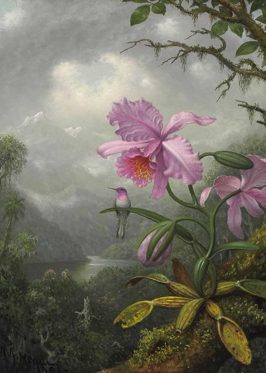 'Hummingbird Perched on Orc' Poster, picture, metal print, paint by ...