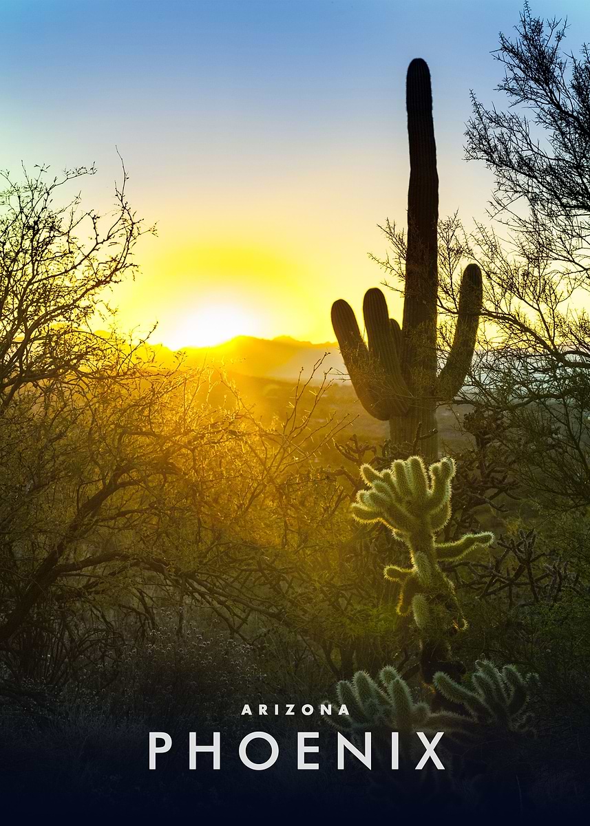 'Phoenix Arizona' Poster, picture, metal print, paint by Ez Photography ...