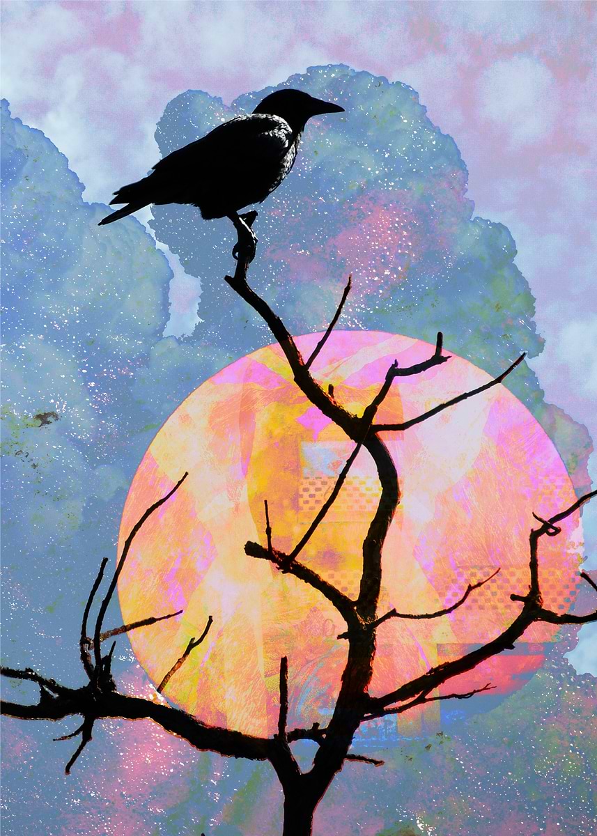 'Dreaming Crow' Poster, picture, metal print, paint by Robert Ball ...