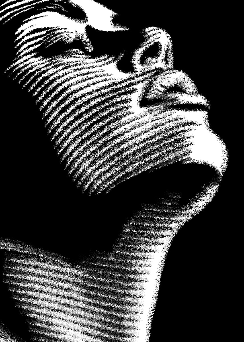 'Striped Portrait' Poster, picture, metal print, paint by donki kemki ...