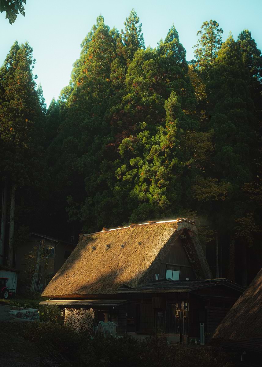 'Traditional Japanese House' Poster, picture, metal print, paint by ...