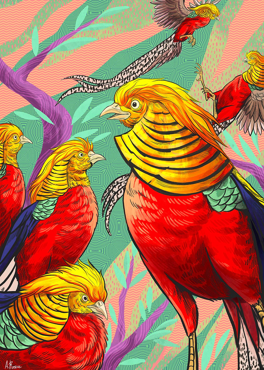 'Golden Pheasant Illustration' Poster, picture, metal print, paint by ...