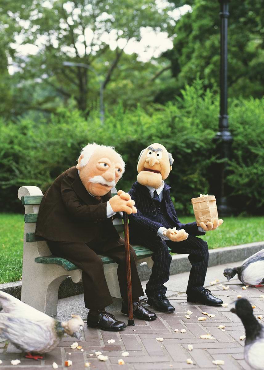 'Statler & Waldorf Pigeons' Poster, picture, metal print, paint by Disney | Displate