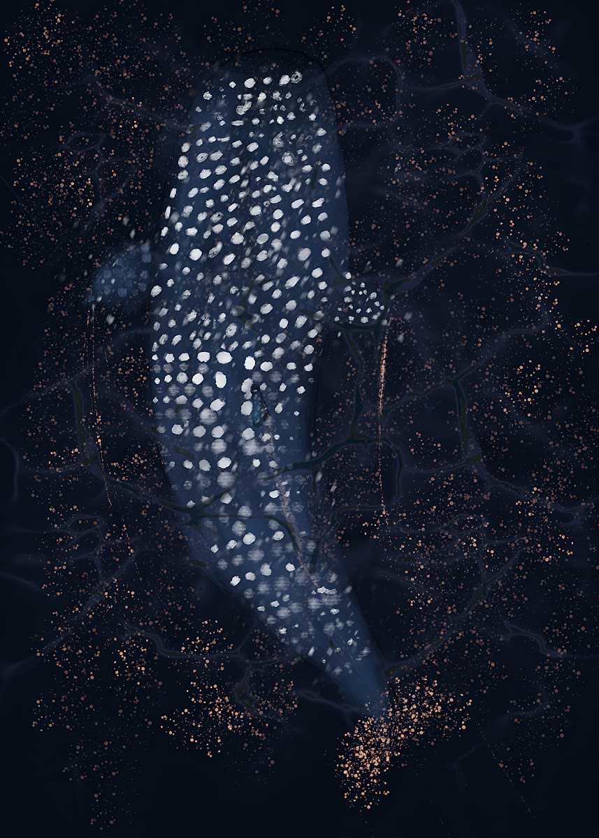 'Whale Shark in Deep Blue' Poster, picture, metal print, paint by Daven ...