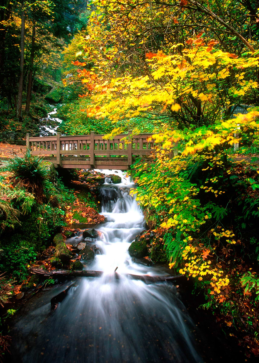 'Autumn Waterfall Bridge' Poster, picture, metal print, paint by Best ...