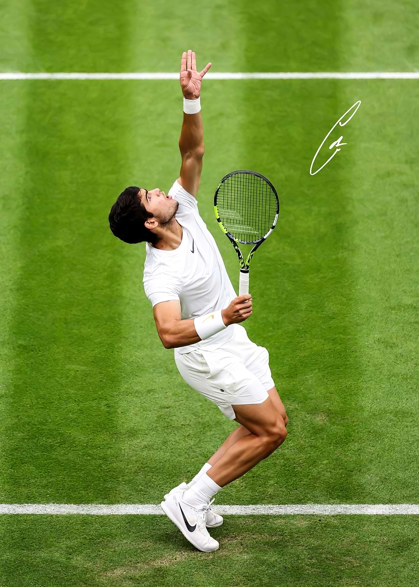 'carlos alcaraz' Poster, picture, metal print, paint by DUKE STUDIO ...