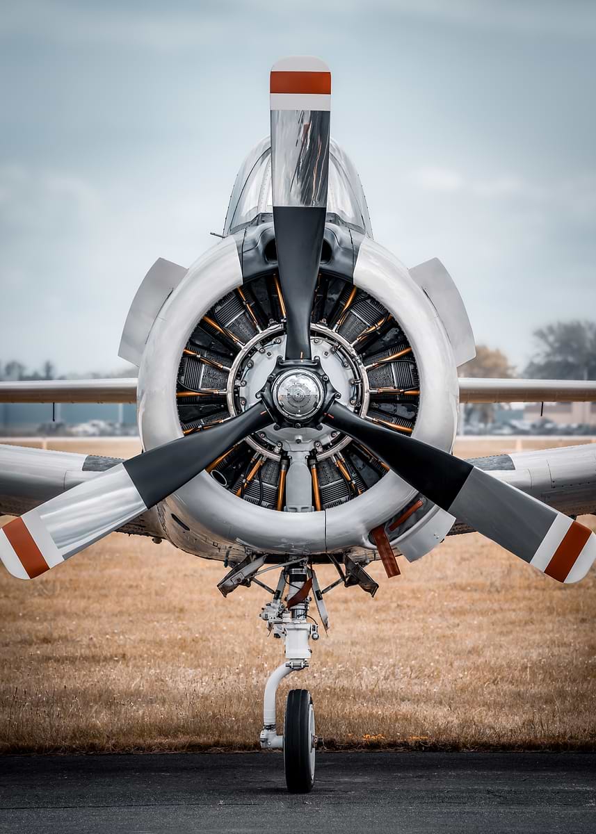 'Vintage Propeller Plane' Poster, picture, metal print, paint by Frank ...