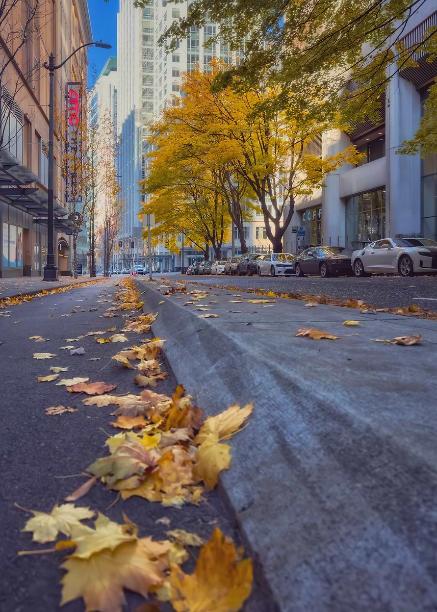 'Autumn City Street' Poster, picture, metal print, paint by Jonathan ...