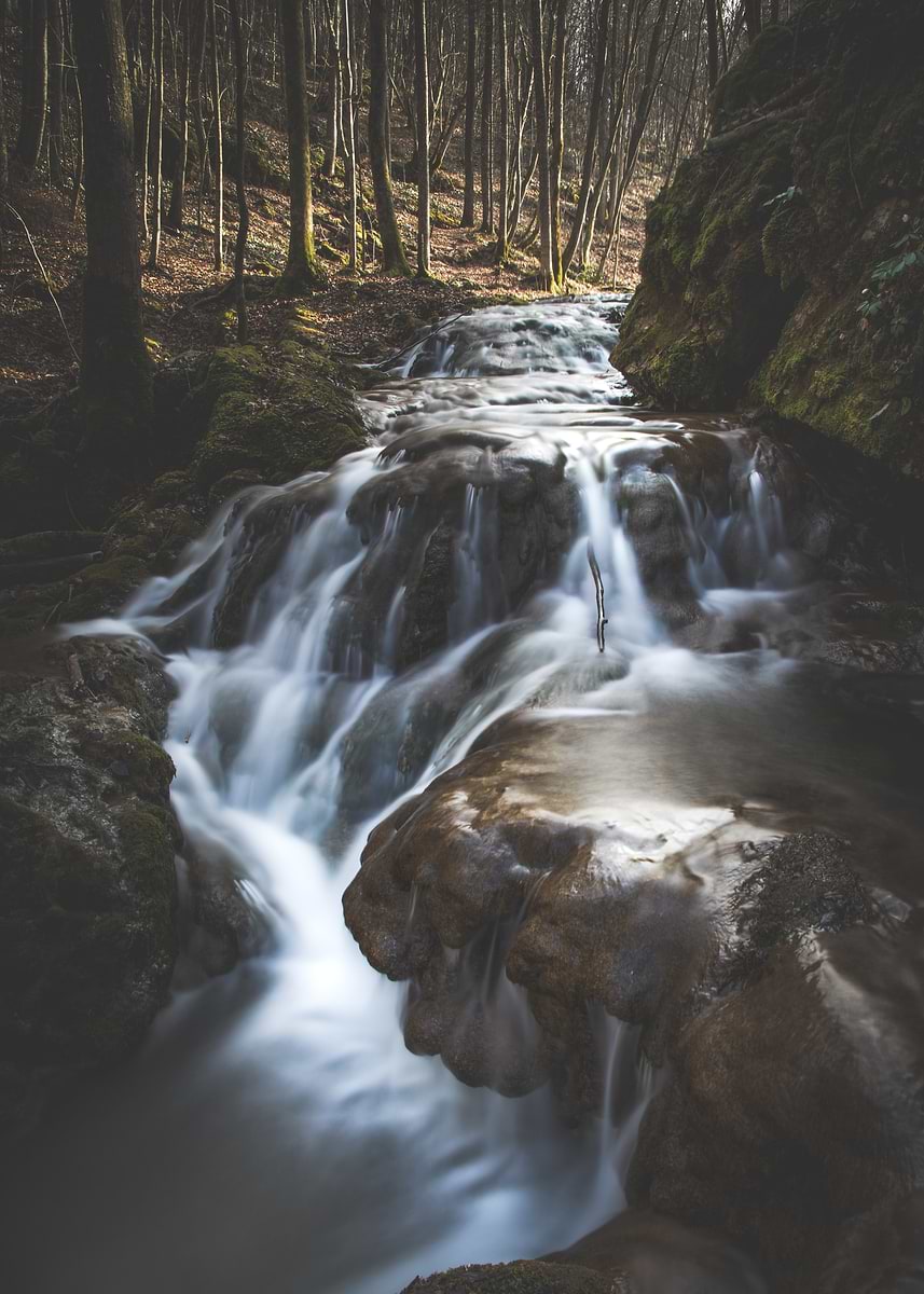 'Forest Waterfall' Poster, picture, metal print, paint by Gasper Rozanc ...