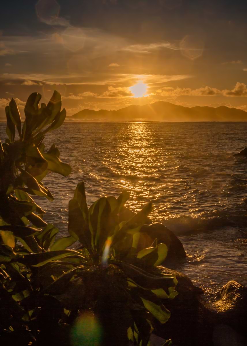 'Sunset Over Tropical Sea' Poster, picture, metal print, paint by ...