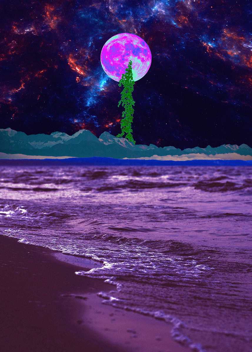 'Hedera To The Moon' Poster, picture, metal print, paint by Visions of ...