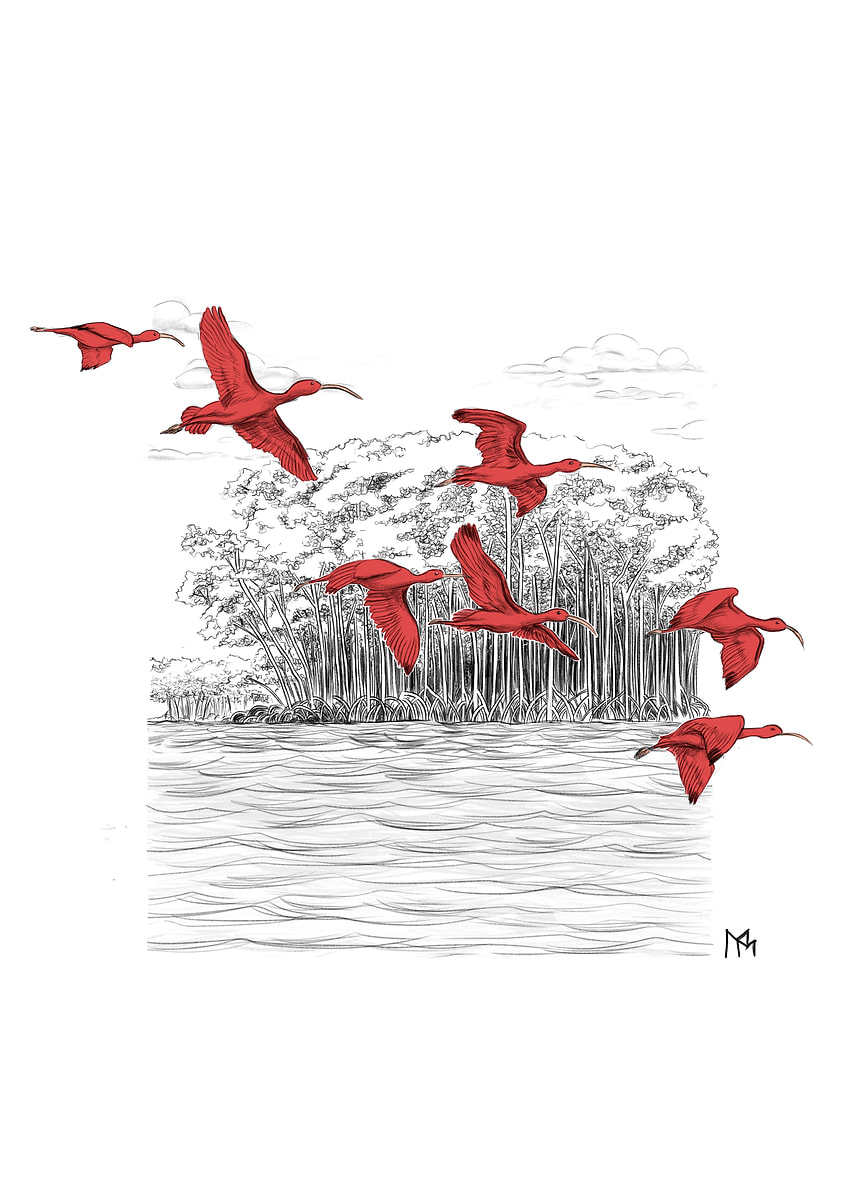 'Flight of Guarás' Poster, picture, metal print, paint by Marina Moura ...