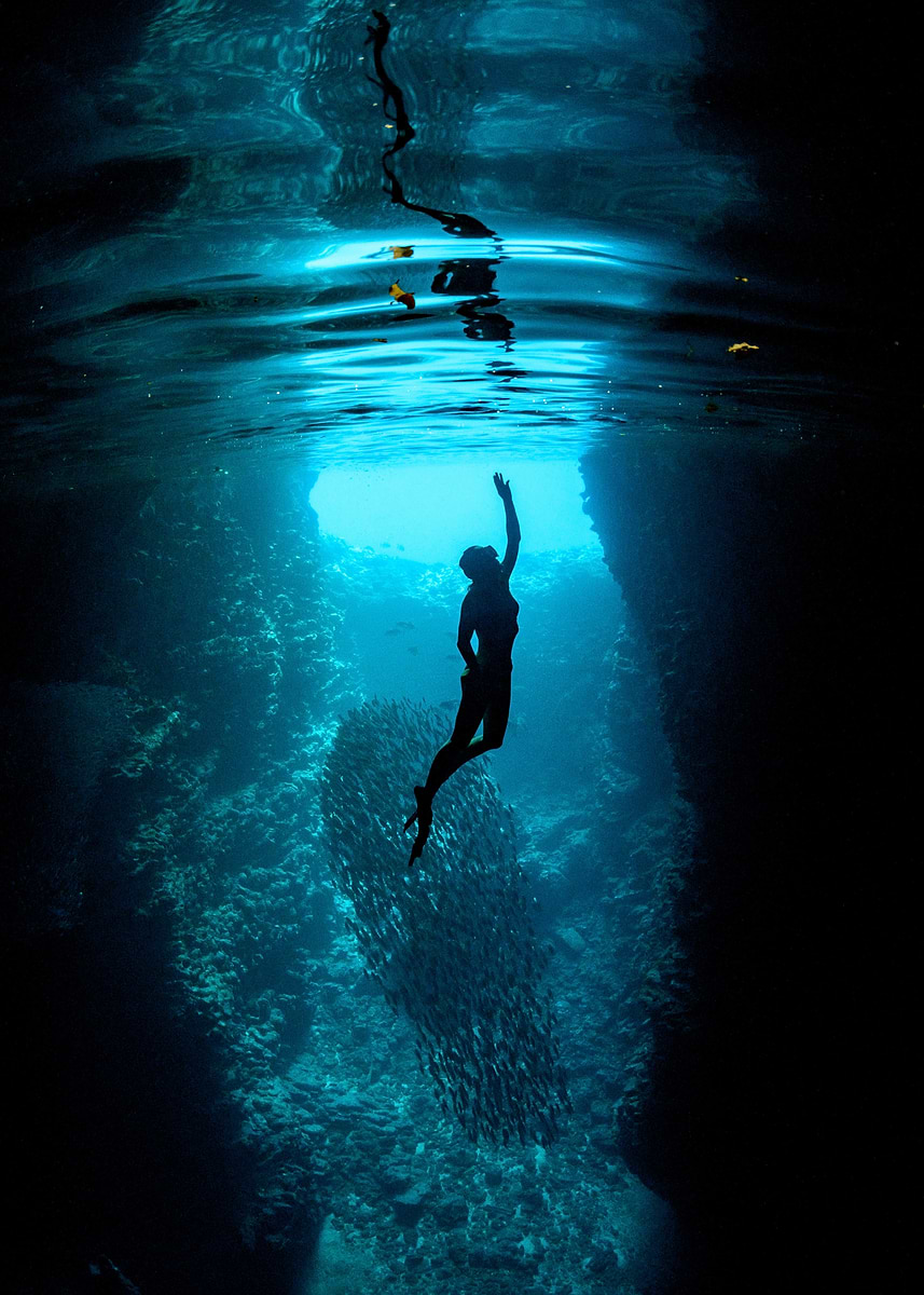 'Diving deep ocean' Poster, picture, metal print, paint by ...
