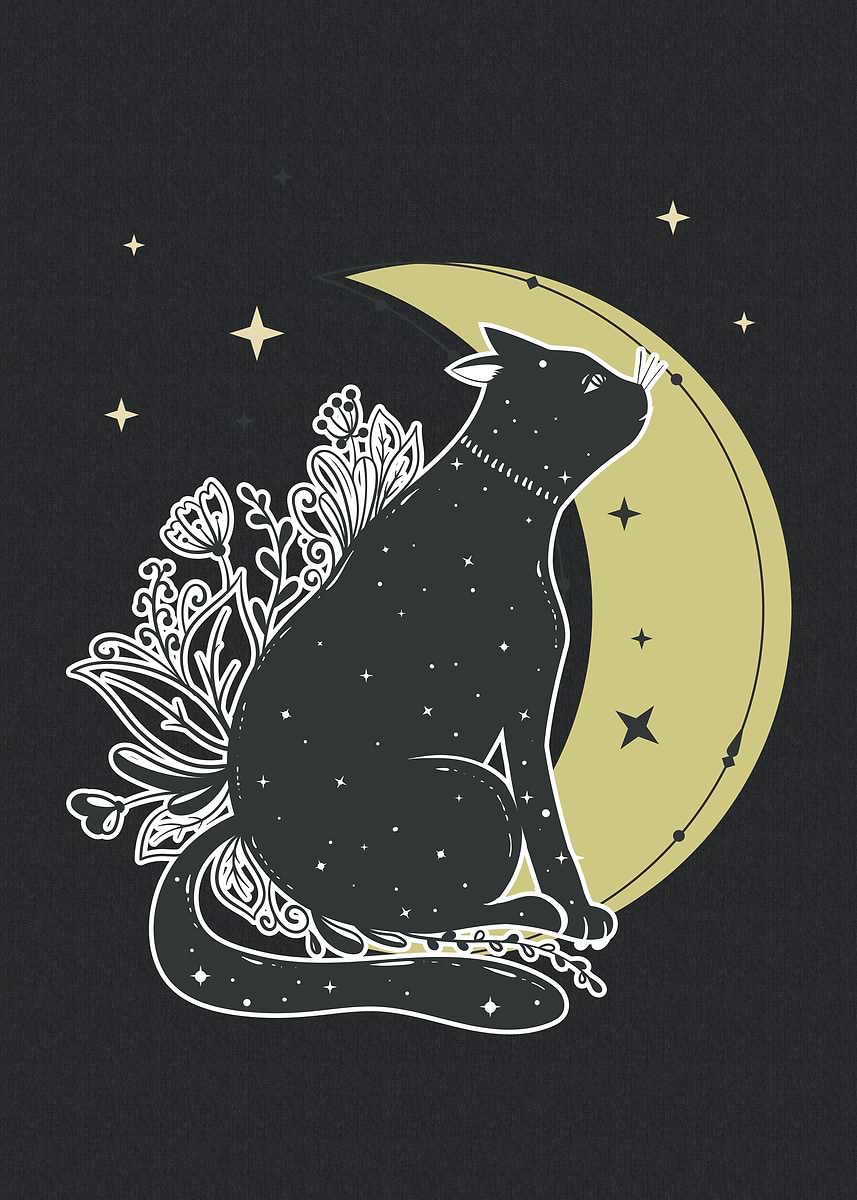 'Cute gray Cat crescent moon CAT for cat lovers & CAT owners' Poster ...