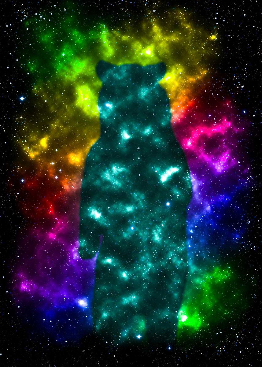 'Bear Nebula' Poster, picture, metal print, paint by Kitchenator | Displate