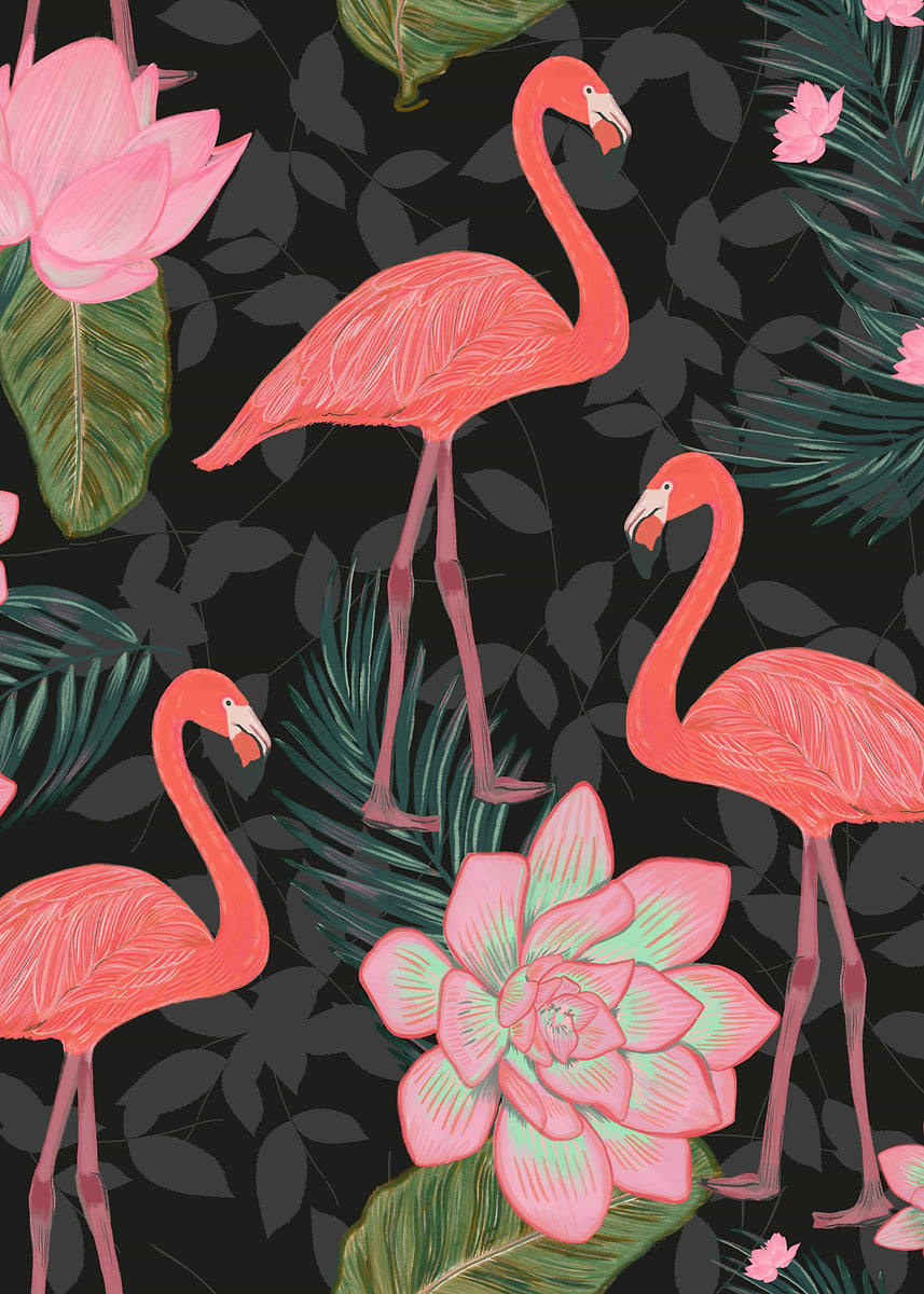 'Hand drawn flamingos with lotus flowers' Poster, picture, metal print ...
