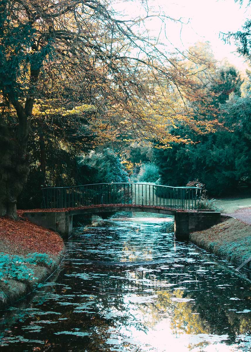 'Bridge Over Stream in Autumn' Poster, picture, metal print, paint by ...