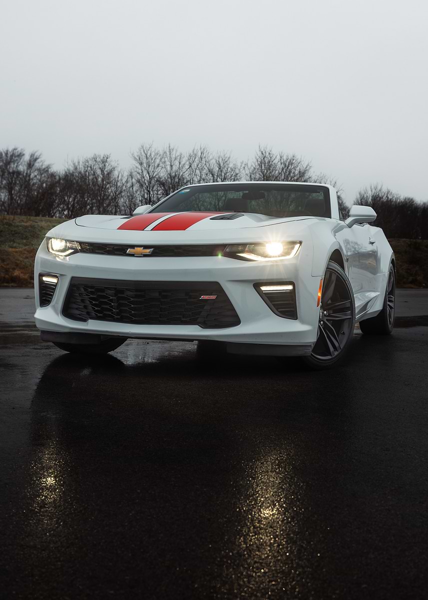 'White Chevrolet Camaro Convertible' Poster, picture, metal print ...