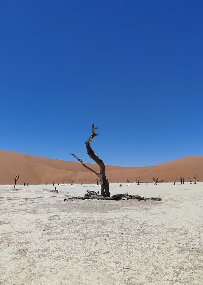'Forgotten Deadvlei' Poster, picture, metal print, paint by JJJJ | Displate