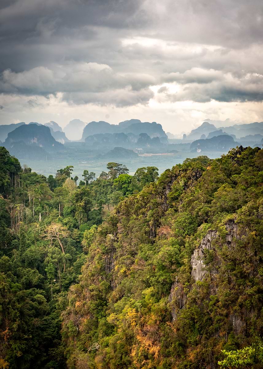 'Jungle Mountain Landscape' Poster, picture, metal print, paint by ...